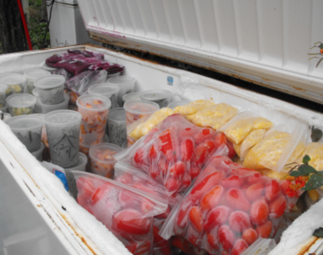How To Freeze Food Timeline Tips And Don ts MyThirtySpot