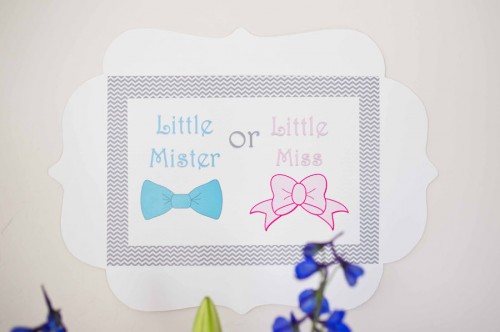 Our Early Gender Reveal from Panorama Testing - MyThirtySpot